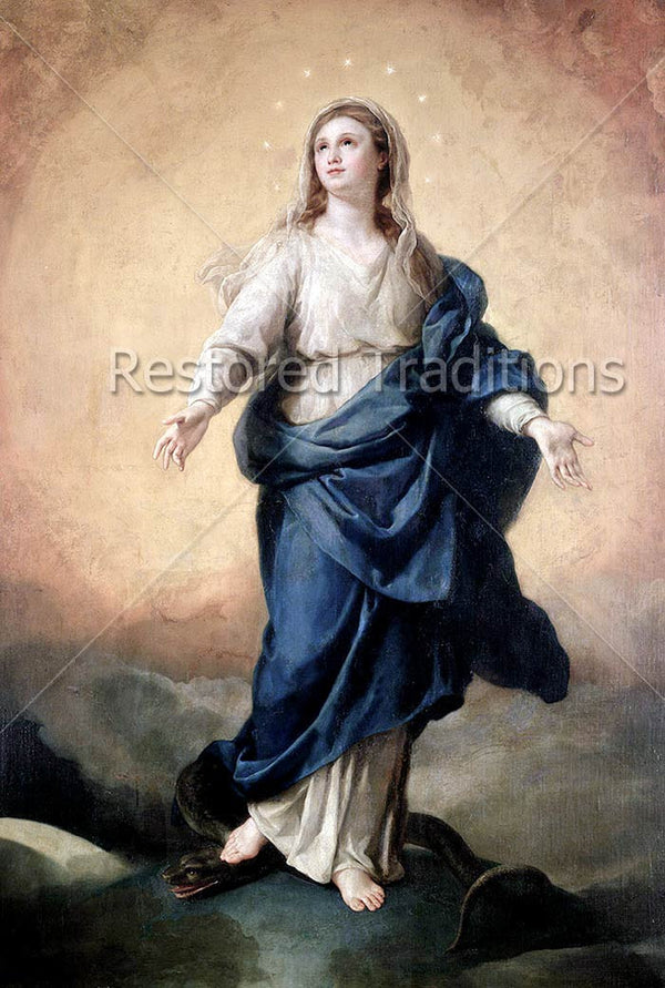 High Resolution Image | The Immaculate Mother of Jesus - Restored ...